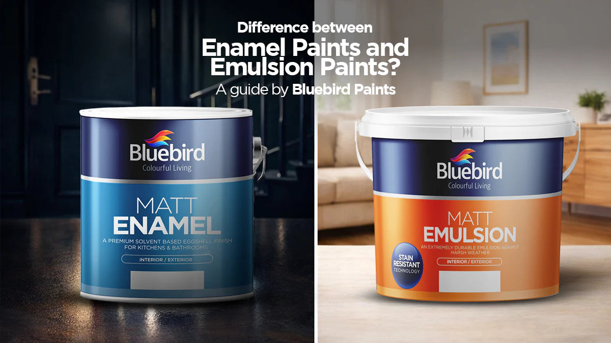 Difference between Enamel and Emulsion Paints? A guide by Bluebird Pai